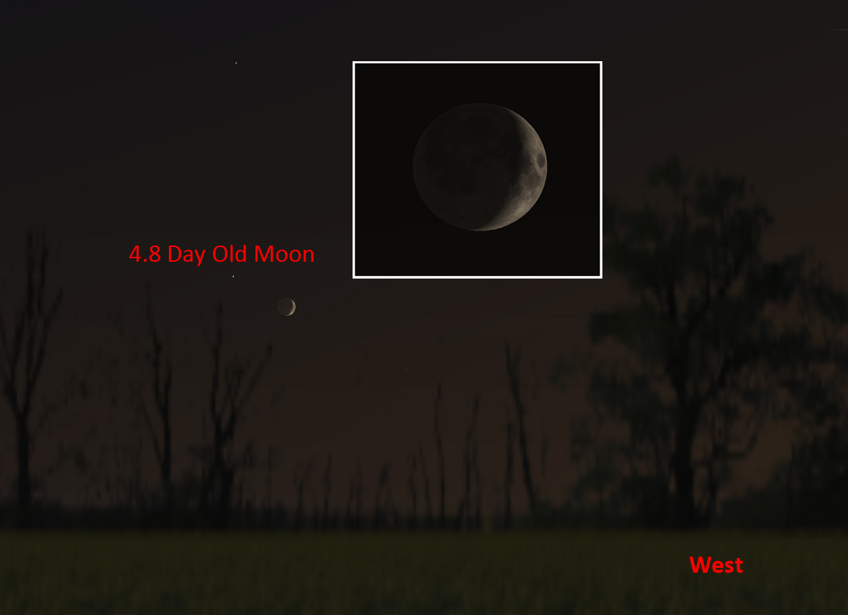 Monthly Night Sky Guide August 2022 | Jodrell Bank Centre for Astrophysics